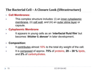 Bacteria - General Characters & a Closure Look | PPT
