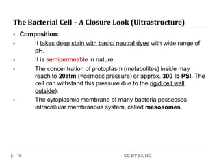 Bacteria - General Characters & a Closure Look | PPT