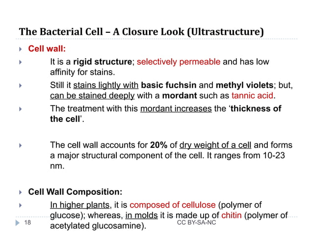 Bacteria - General Characters & a Closure Look | PPTX | Biological ...
