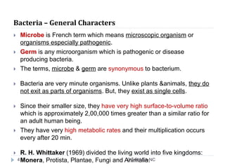 Bacteria - General Characters & a Closure Look | PPTX | Biological ...