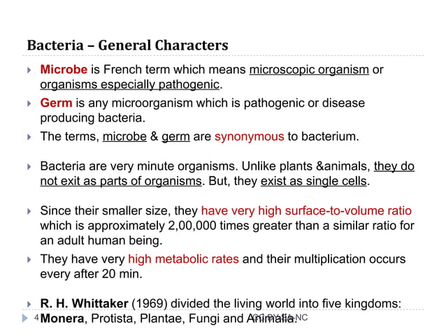 Bacteria - General Characters & a Closure Look | PPTX | Biological ...