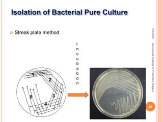 Bacteria: Growth Curve, Isolation and Preservation | PPTX