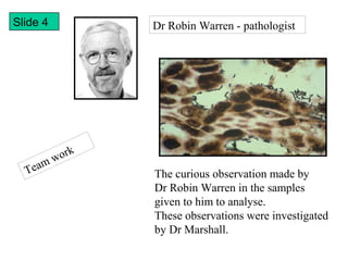 Bacteria helicobacter pylori - ulcers | PPT