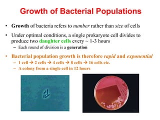 Bacteria iii | PPT