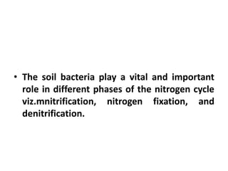 Bacteria iii | PPT