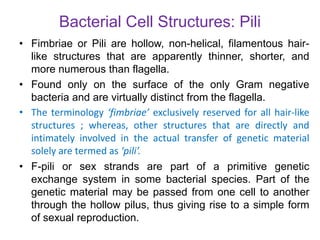 Bacteria ii | PPTX