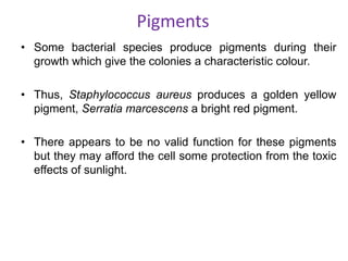 Bacteria ii | PPT