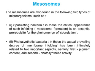 Bacteria ii | PPT