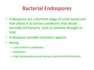 Bacteria ii | PPT