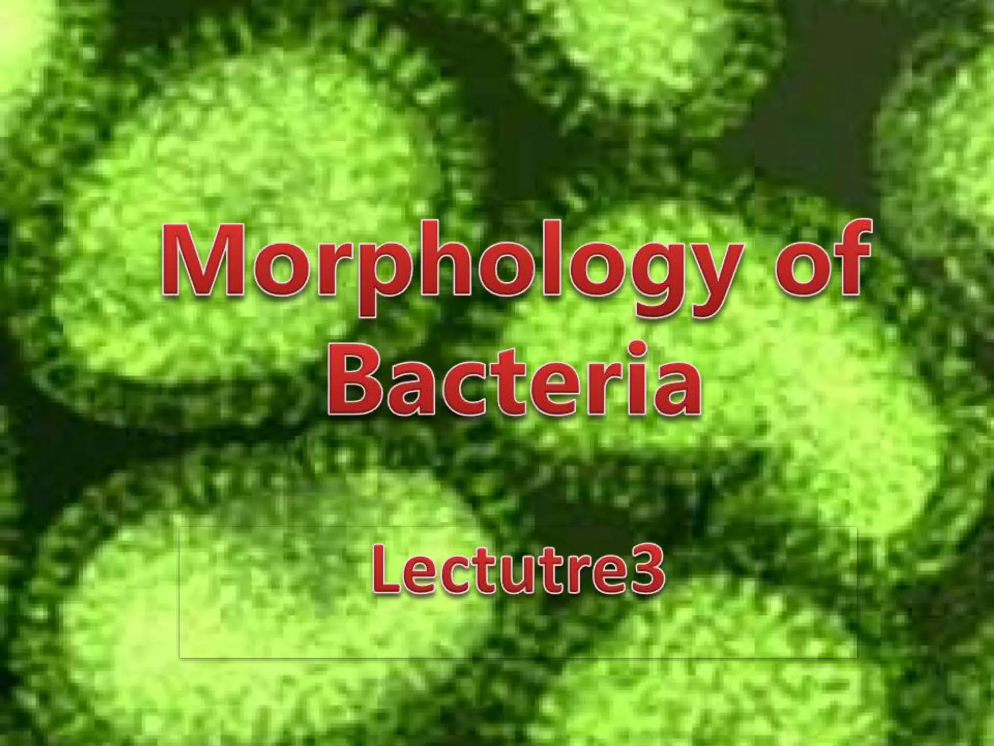 bacteria- lecture 3.pptx microbiology and Immunology | PPT