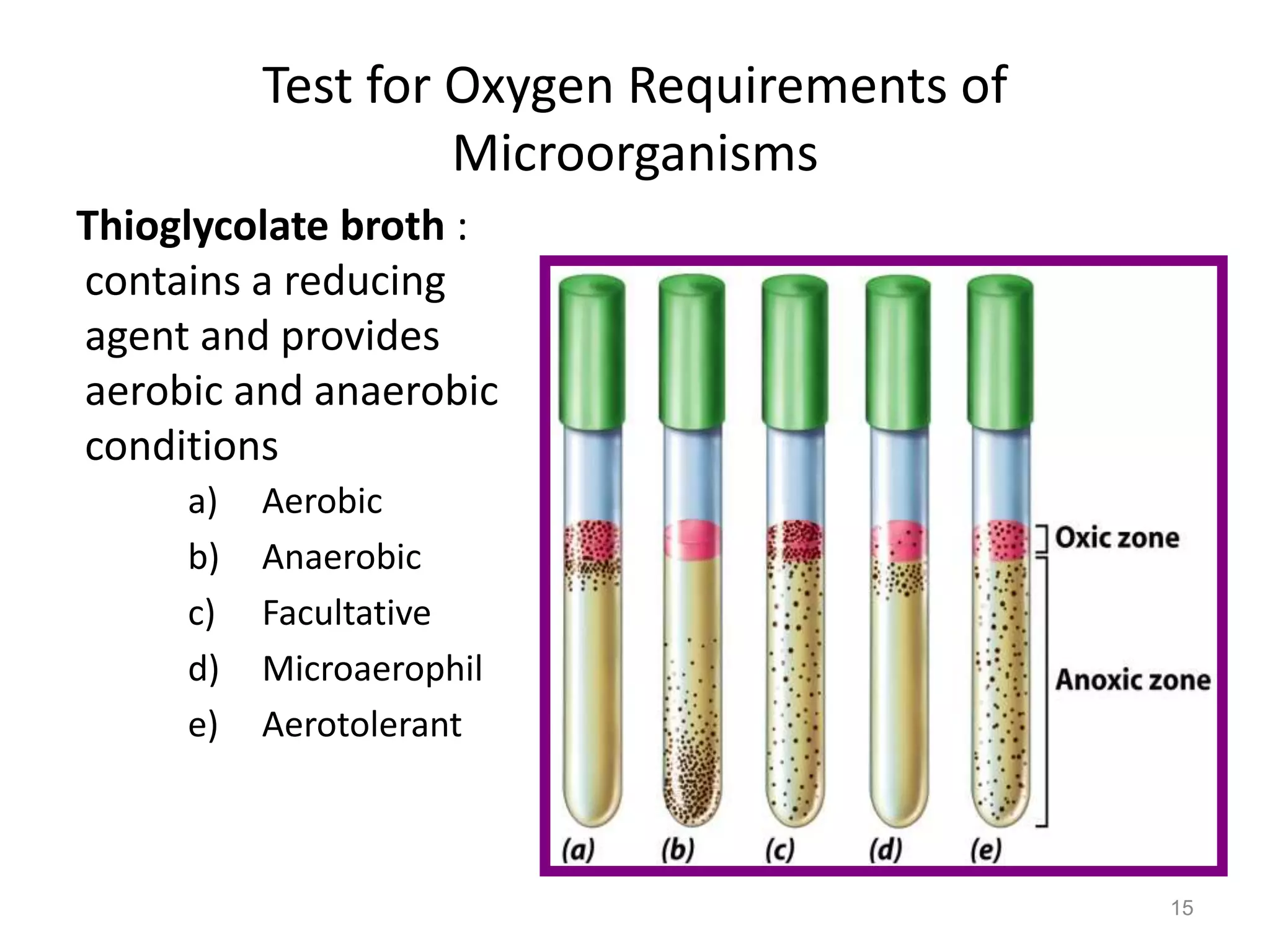 Bacteria morphology and classification | PPTX