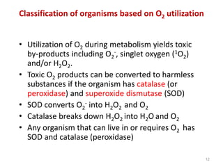 Bacteria morphology and classification | PPTX