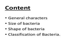 Bacteria | PPTX | Science