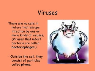 Bacteria and virus Notes | PPT