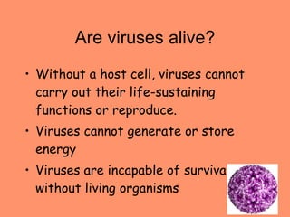 Bacteria and virus Notes | PPT