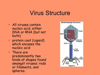 Bacteria and virus Notes | PPT