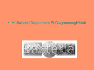 Bacteria and virus Notes | PPT