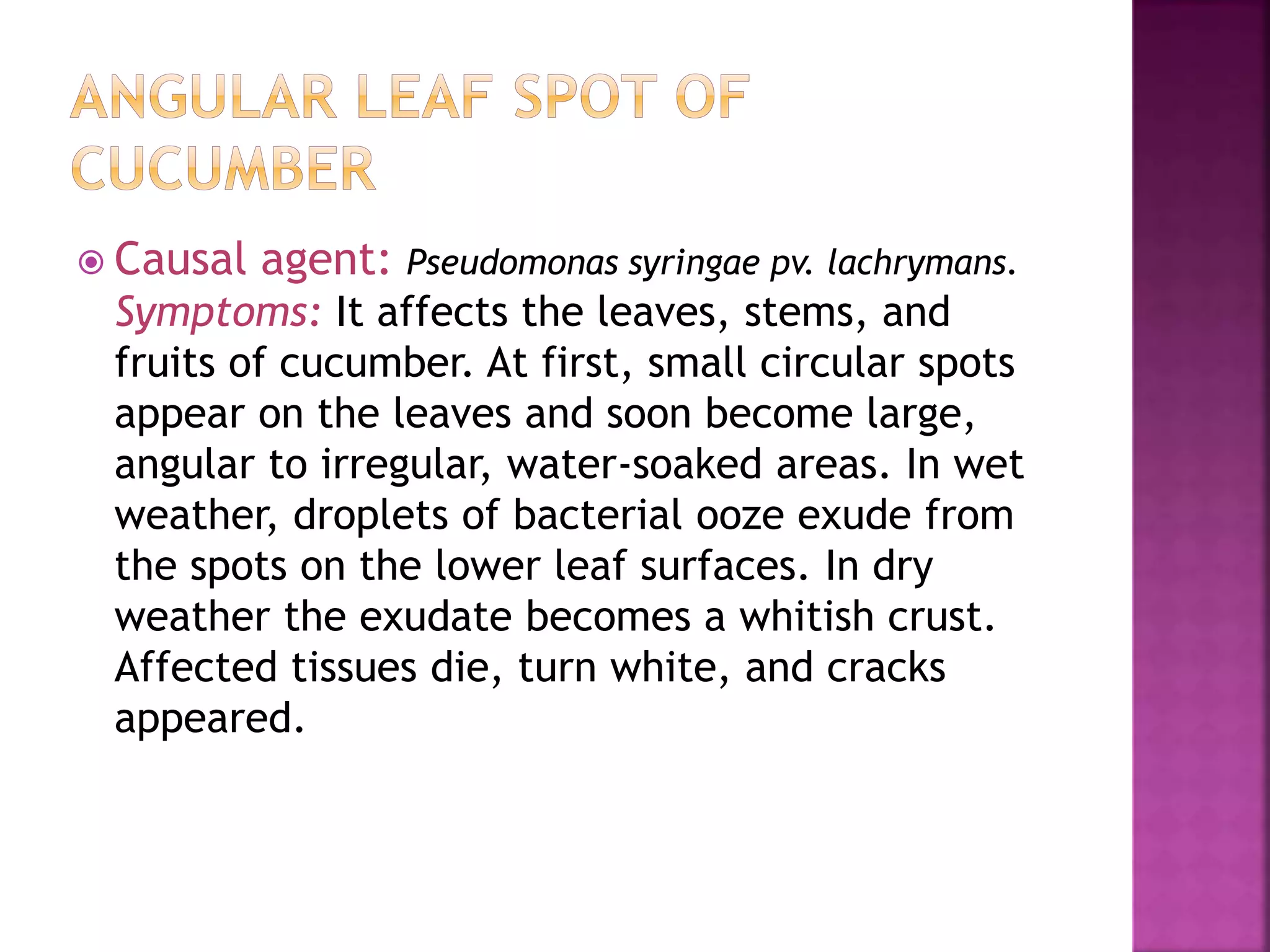 Plant Pathogenic bacteria | PPTX