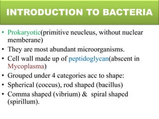bacteria (2).pptx
