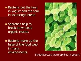 Bacteria corrosion cycle and biocorrosion.ppt