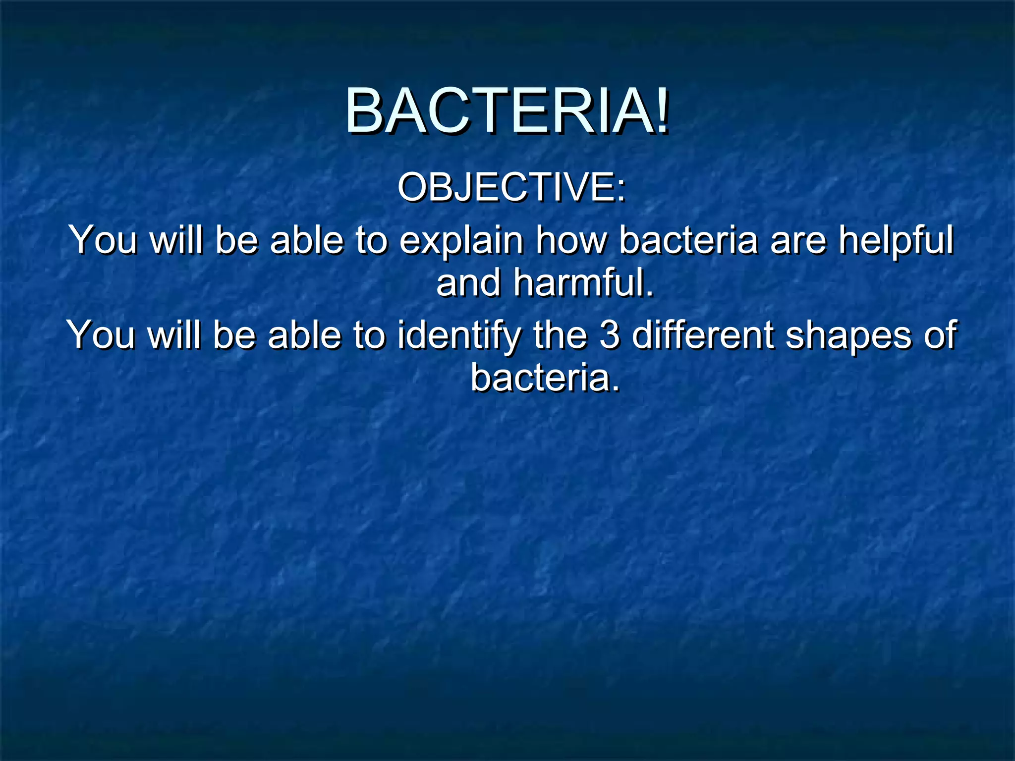 Bacteria 2010 | PPT