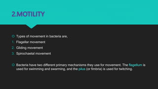 Systematic identification of bacteria and molecular techniques for the ...