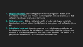 Systematic identification of bacteria and molecular techniques for the ...