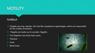 Systematic identification of bacteria and molecular techniques for the ...