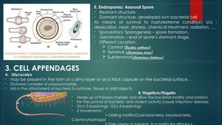 micropara.BACTERIA (2ND DISCUSSION).pptx