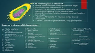 micropara.BACTERIA (2ND DISCUSSION).pptx