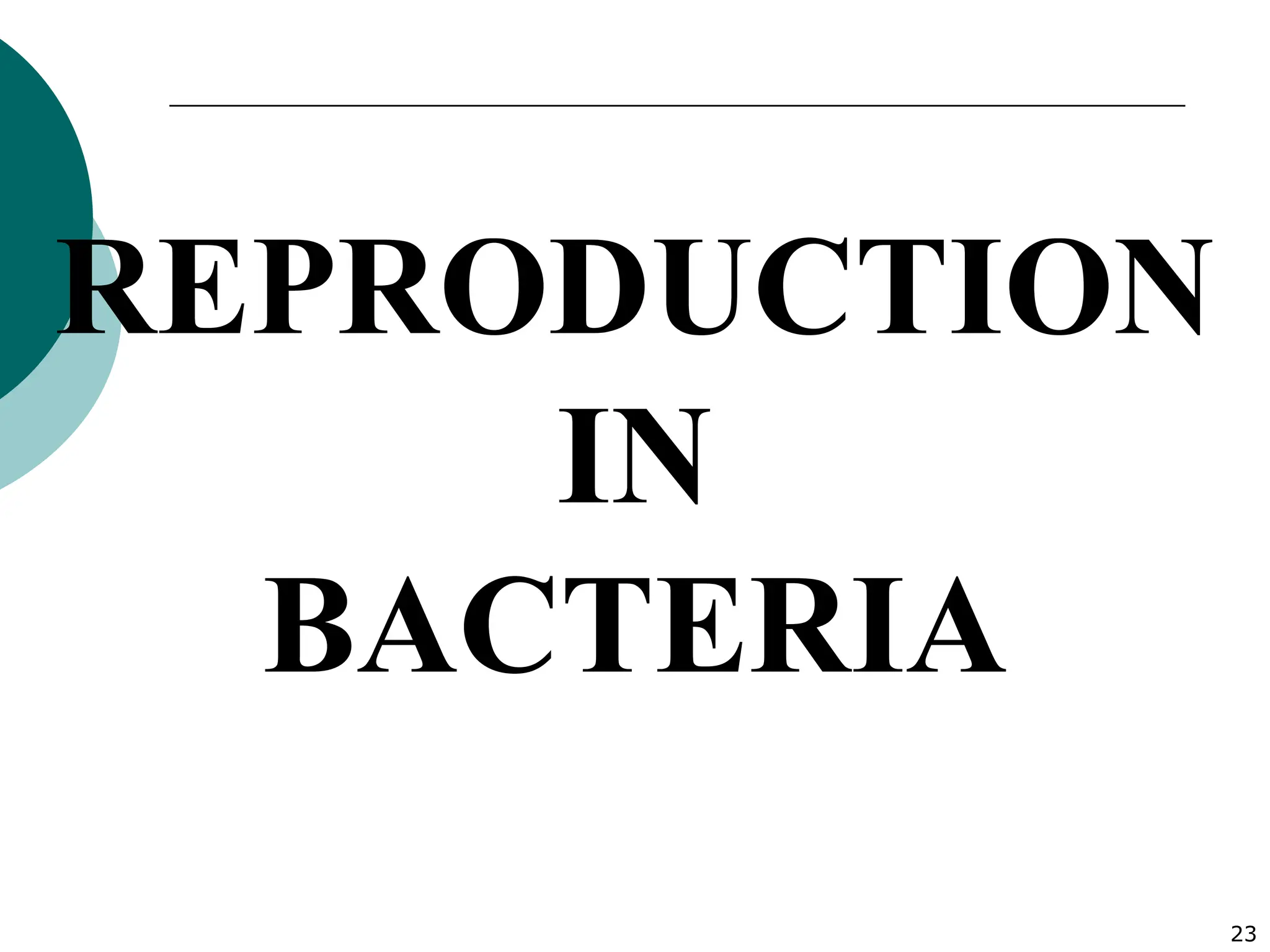 bacteria3.pptFirst discovered in extreme environments Methanogens: Harvest energy by converting ...