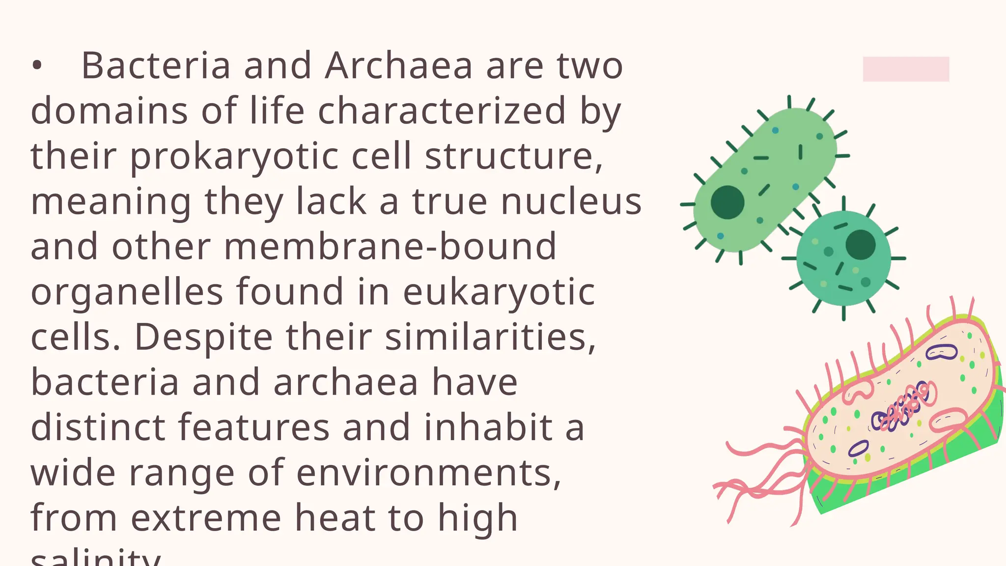 bacterium's and arches of microorganisms | PPTX