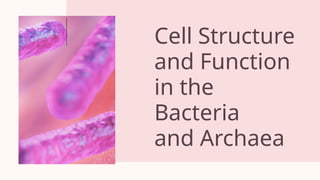bacterium's and arches of microorganisms | PPTX
