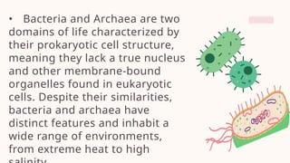 bacterium's and arches of microorganisms | PPT