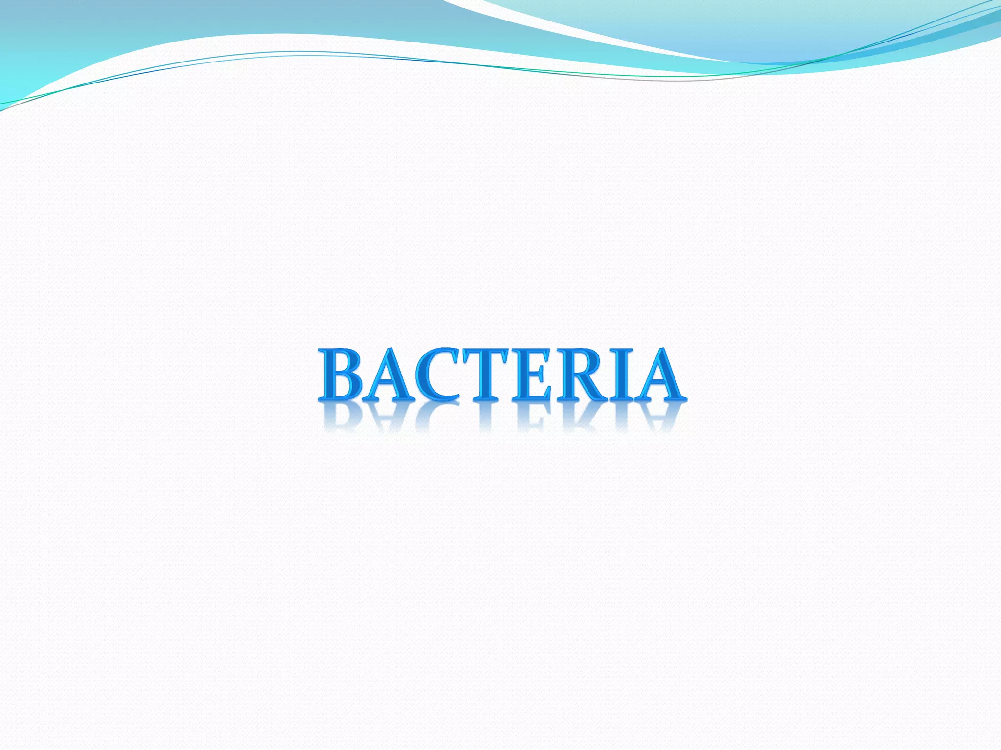 Bacteria and archaea example organisms | PPT