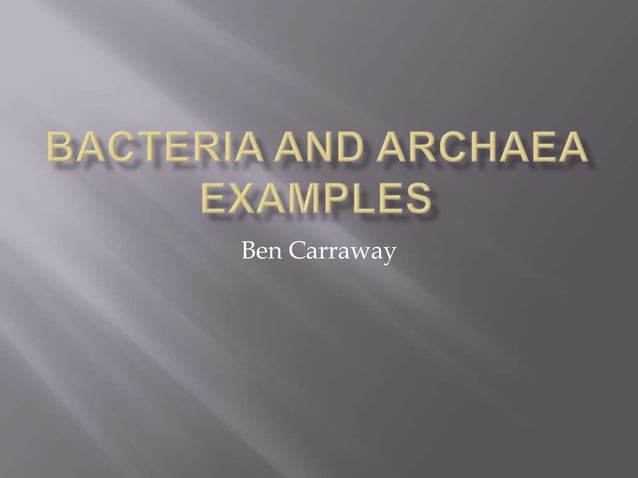 Bacteria and archaea examples | PPT