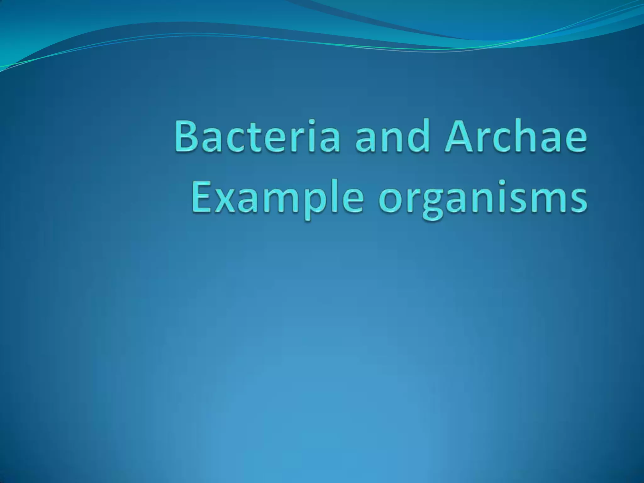 Bacteria and archae example organisms | PPT