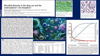 Comprehensive Overview of Bacteria and Archaea: Structure ...