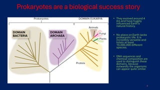 Comprehensive Overview of Bacteria and Archaea: Structure ...