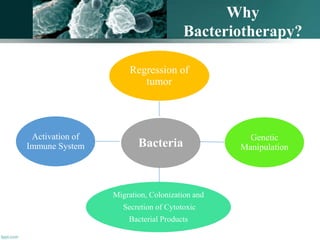 Bacteria and cancer | PPTX
