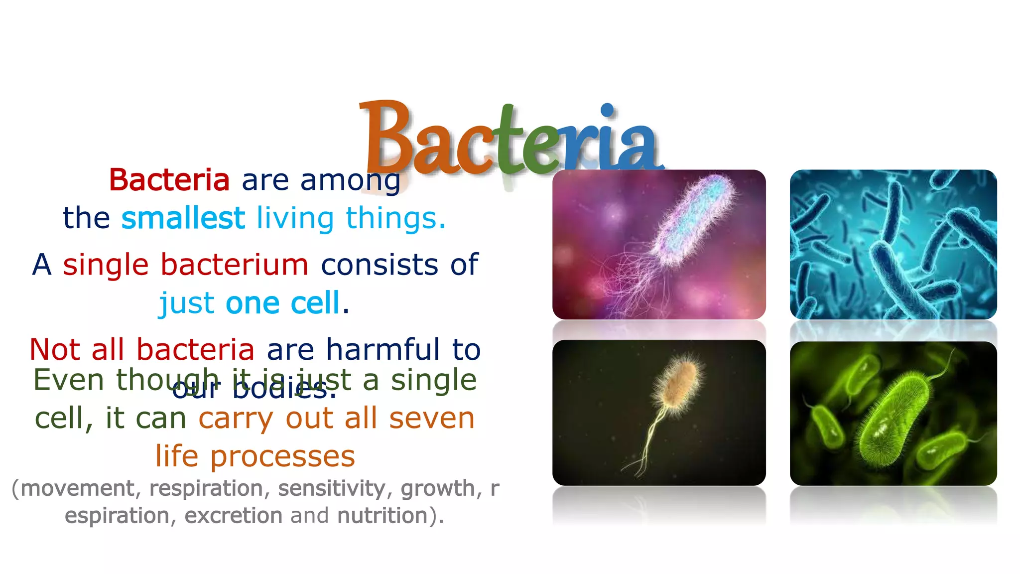 Bacteria and cellulose | PPTX
