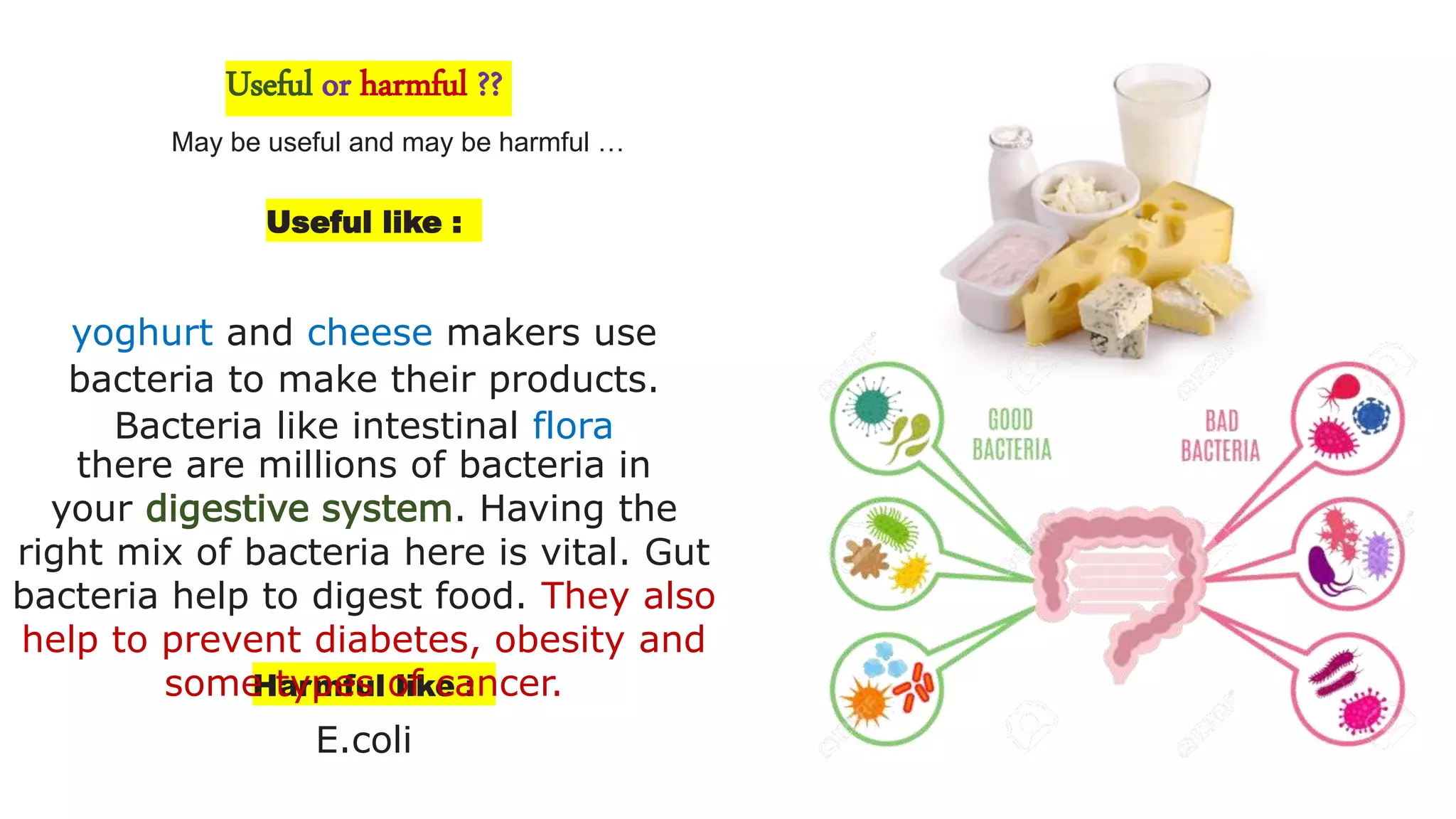 Bacteria and cellulose | PPTX