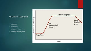 Bacteria and cyanobacteria | PPTX