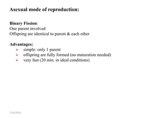 Bacteria-Morphology, Reproduction and Functions | PPTX
