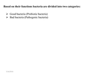 Bacteria-Morphology, Reproduction and Functions | PPTX