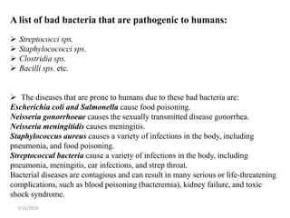 Bacteria-Morphology, Reproduction and Functions | PPTX