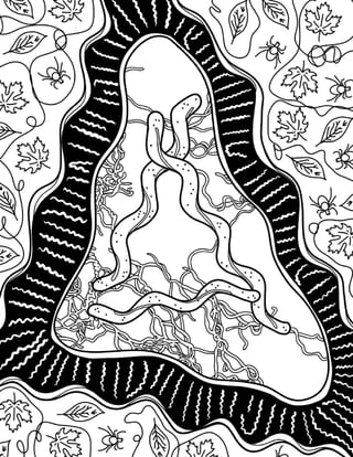 Bacteria_and_me_Spanish libro para colorea | PDF