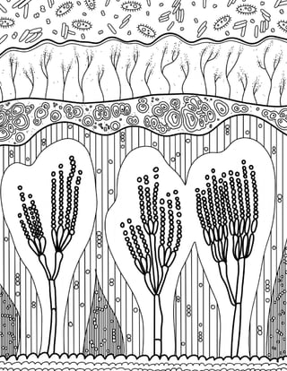 Bacteria_and_me_Spanish libro para colorea | PDF