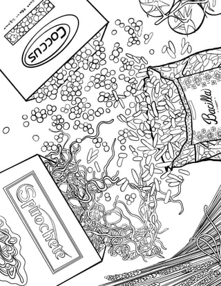 Bacteria_and_me_Spanish libro para colorea | PDF