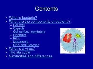 Bacteria and viruses | PPT